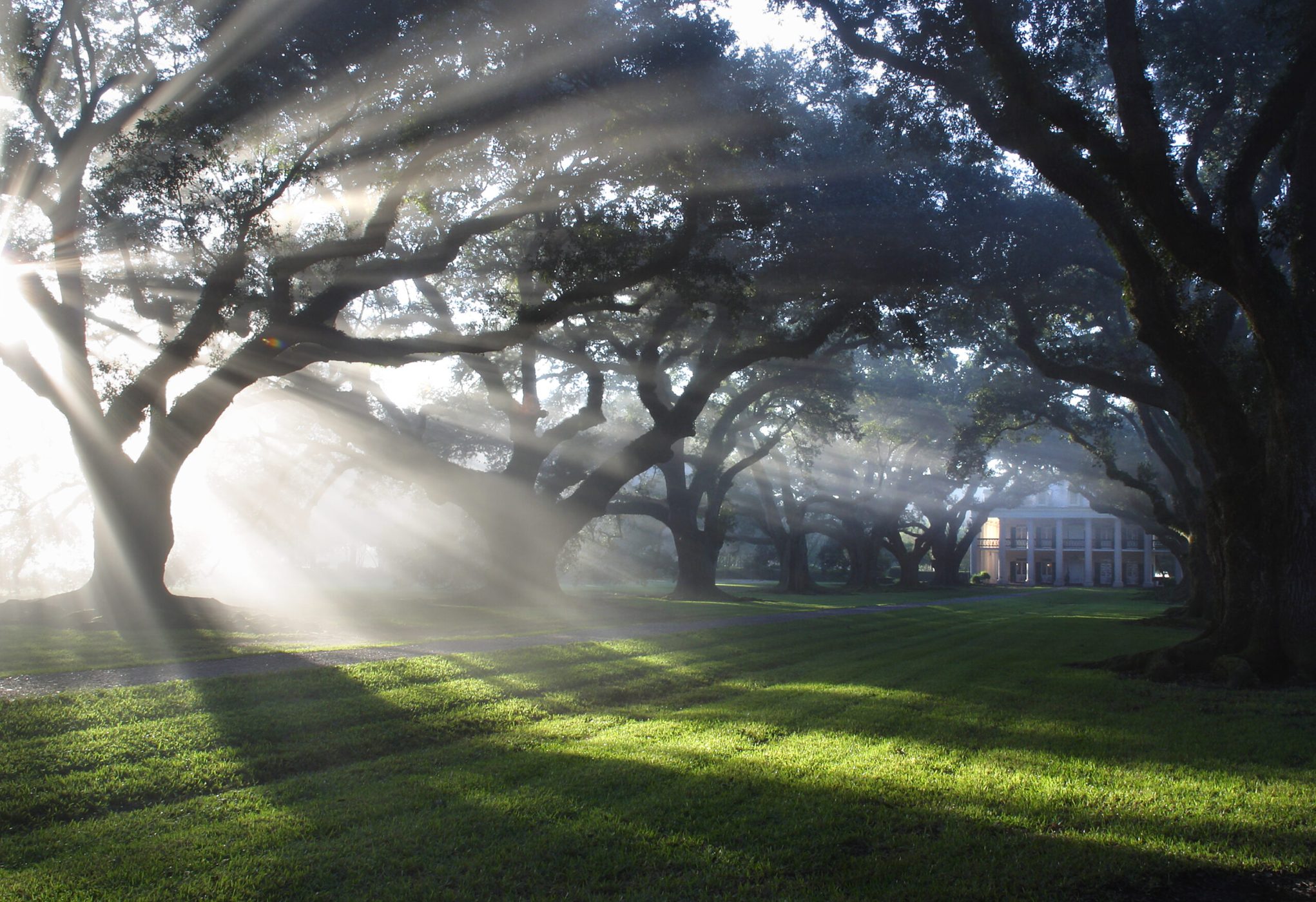 Oak Alley Plantation Photography Contest | Oak Alley Foundation